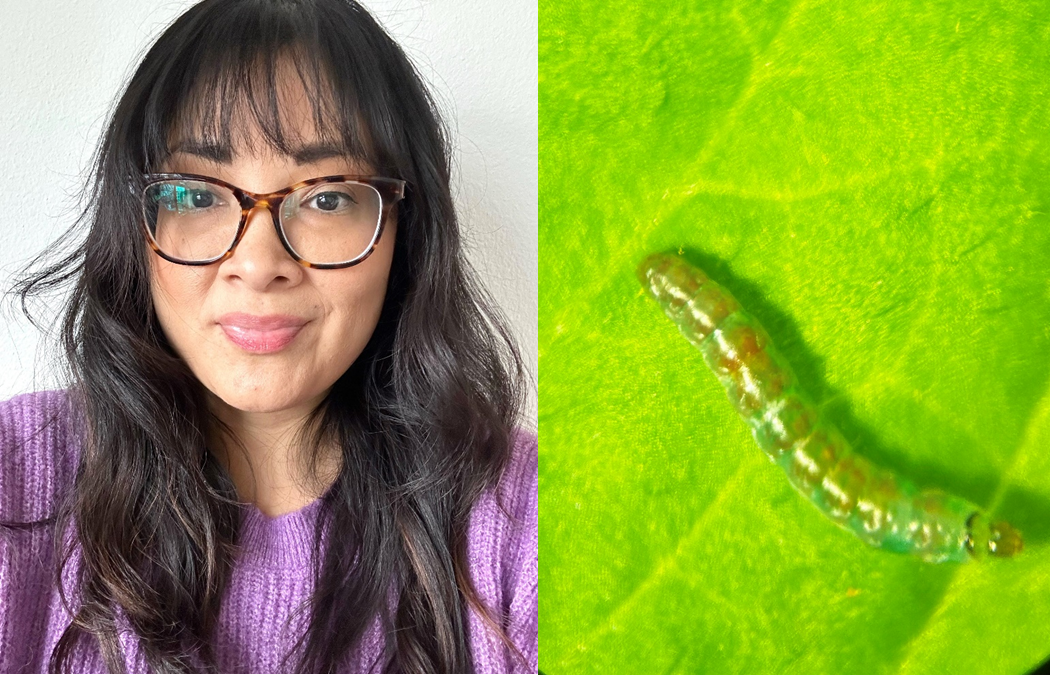 Team - Fi-Ve Bug IPM Lab